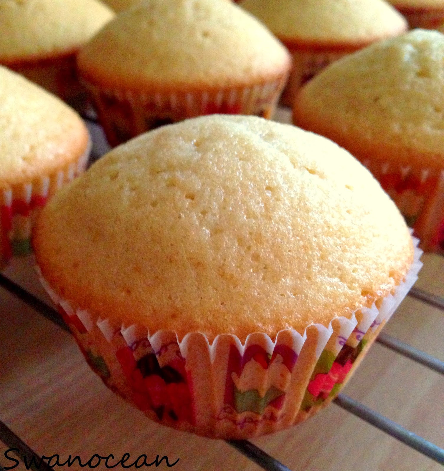 Swanocean: Vanilla cupcakes-Cupcakes βανίλιας