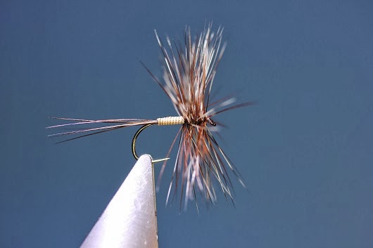 Niklas Dahlin -Flytier: Grey Fox Variant