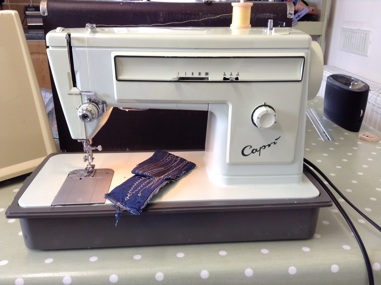 What this bike needs......: Singer Capri 141 sewing machine