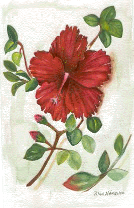 La Cayena: ¿Qué es la Cayena?