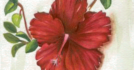 La Cayena: ¿Qué es la Cayena?