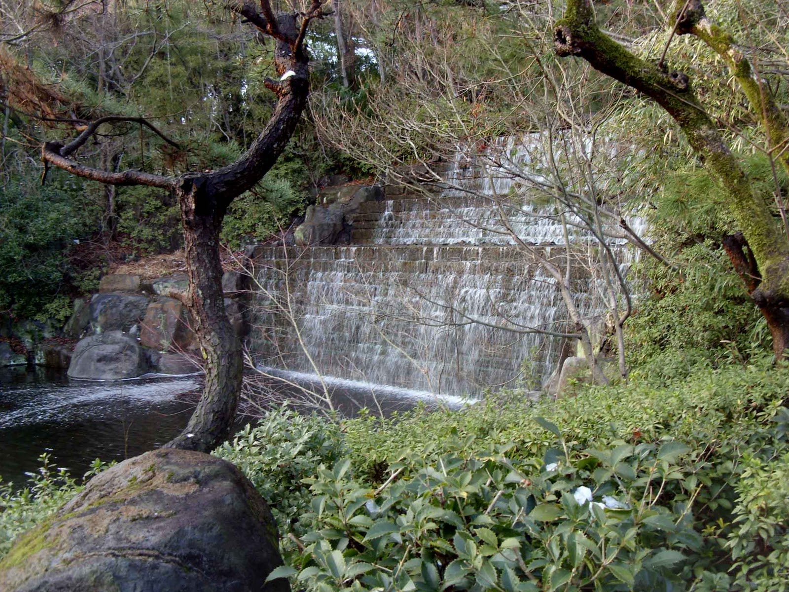 Gwynnie's Adventures in Japan: Shikoku: Naruto's Whirpools and ...