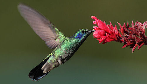 The Presurfer: September 2012