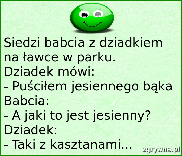 LOLfobia: Jesienne suchary :) | Śmieszne dowcipy, Suchary, Śmieszne fakty