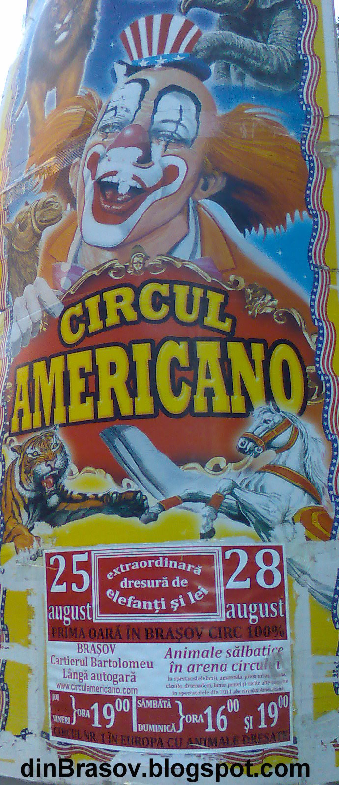 din Brasov: Vine circul Americano la Brasov