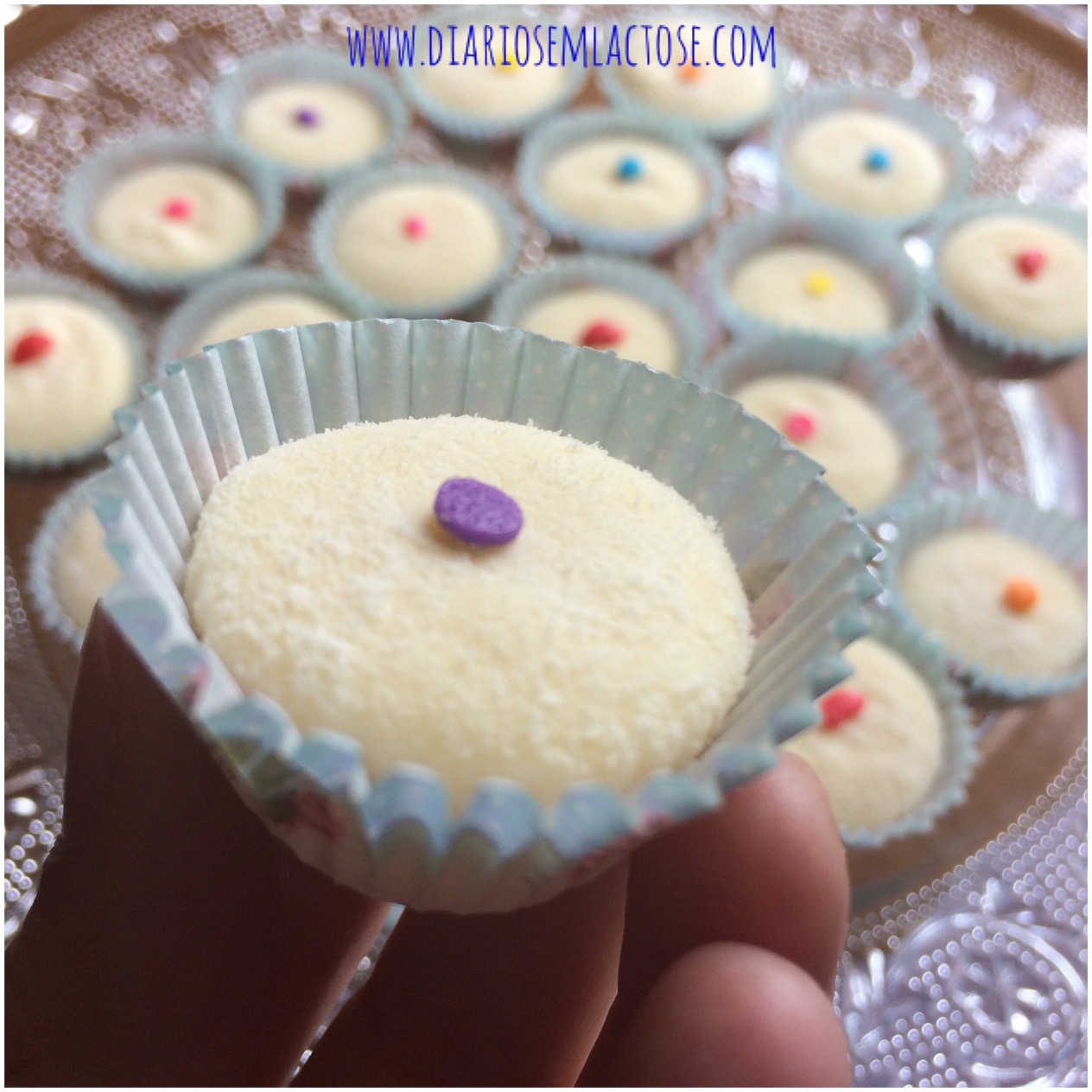 Diário Sem Lactose: Docinho de Leite em Pó Zero Lactose