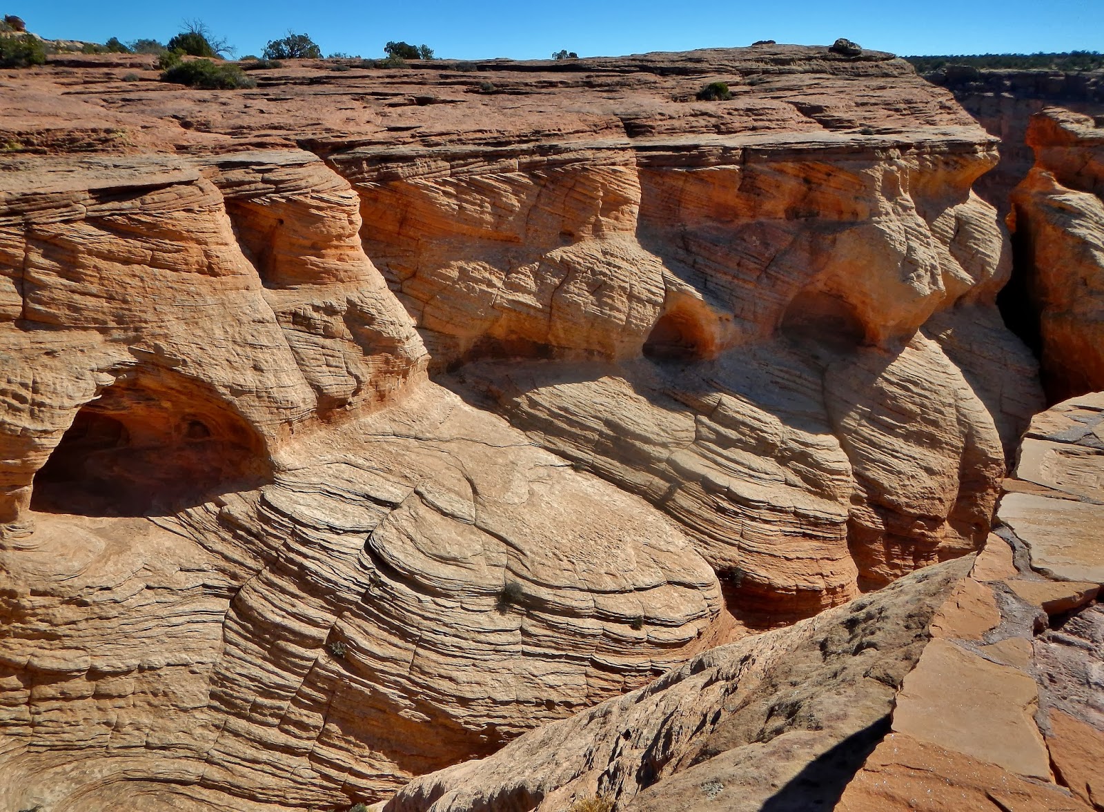 The Southwest Through Wide Brown Eyes: Arizona's Canyon de Chelly is a ...