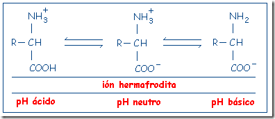 - Cousas de Bioloxía -: Carácter anfótero dos aminoácidos