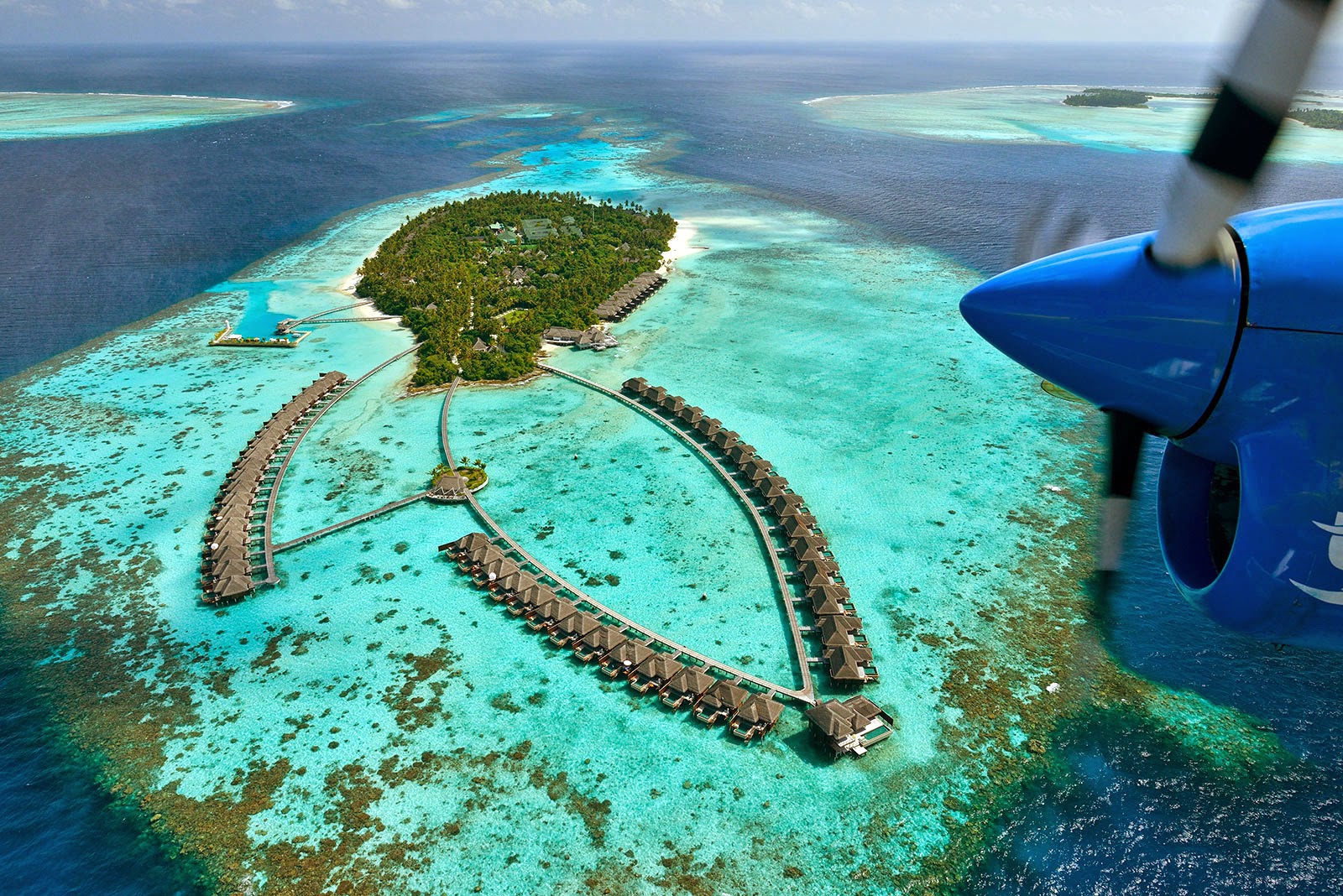 Fly Odyssey - Newsletters: Fly fishing in the Maldives - FOUR RESORTS ...