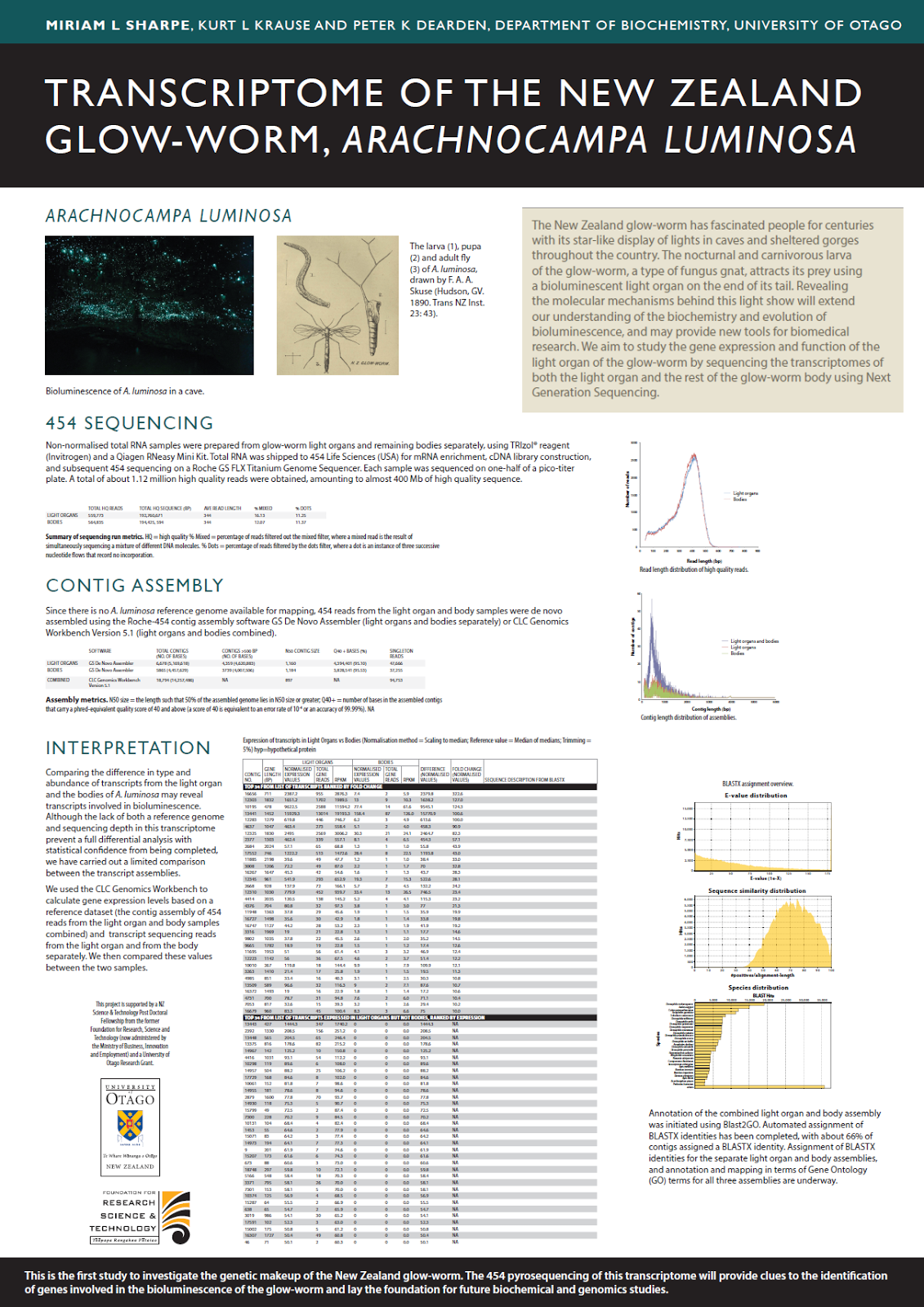 Scientific poster design templates for keynote - faithgulu