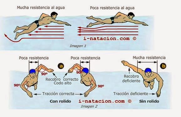 FabroUceEEFFQuintoNivel: FUNDAMENTO DEL ESTILO CROL EN NATACION