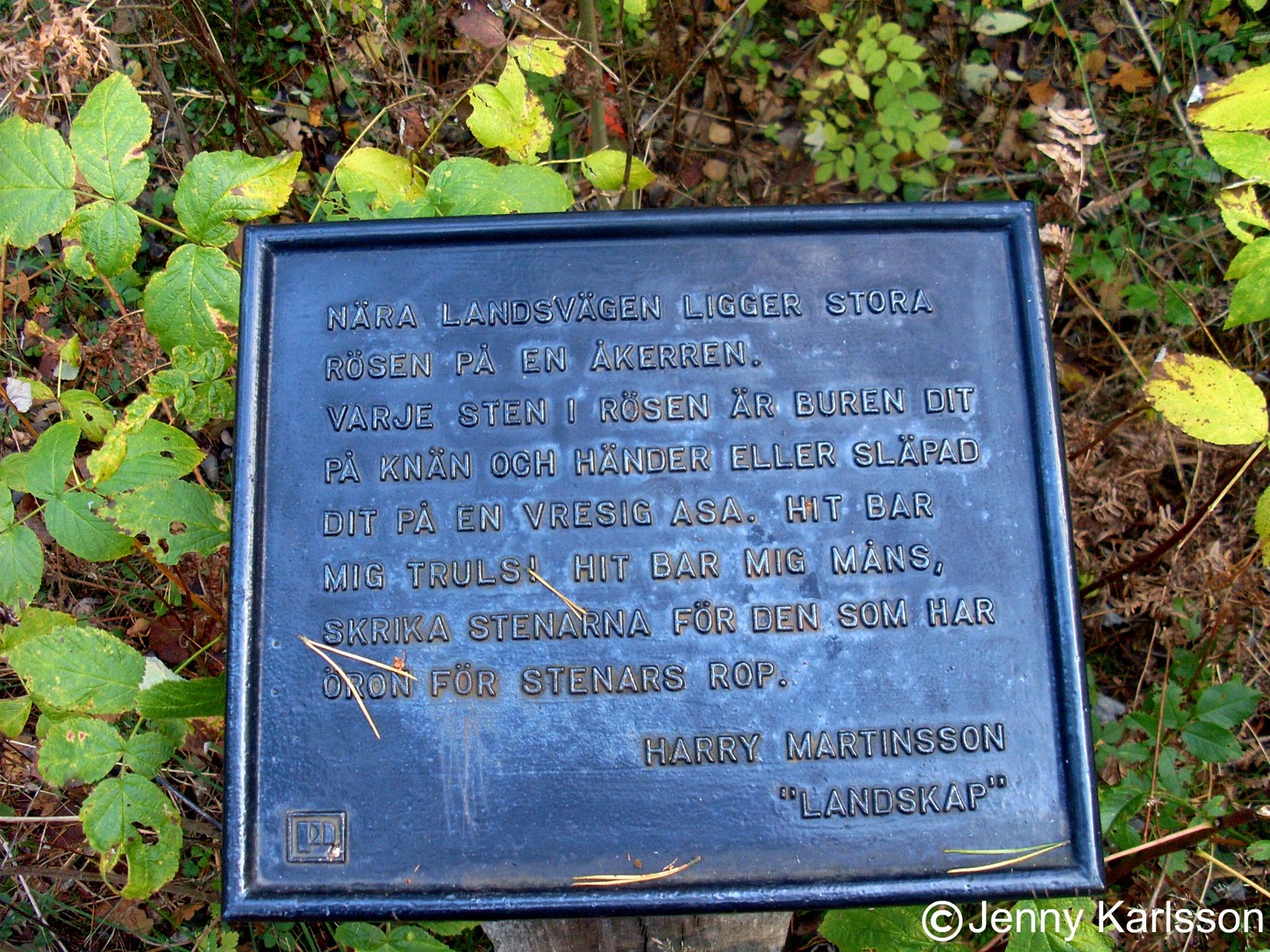 Jennys utflykter: Tegnértornet