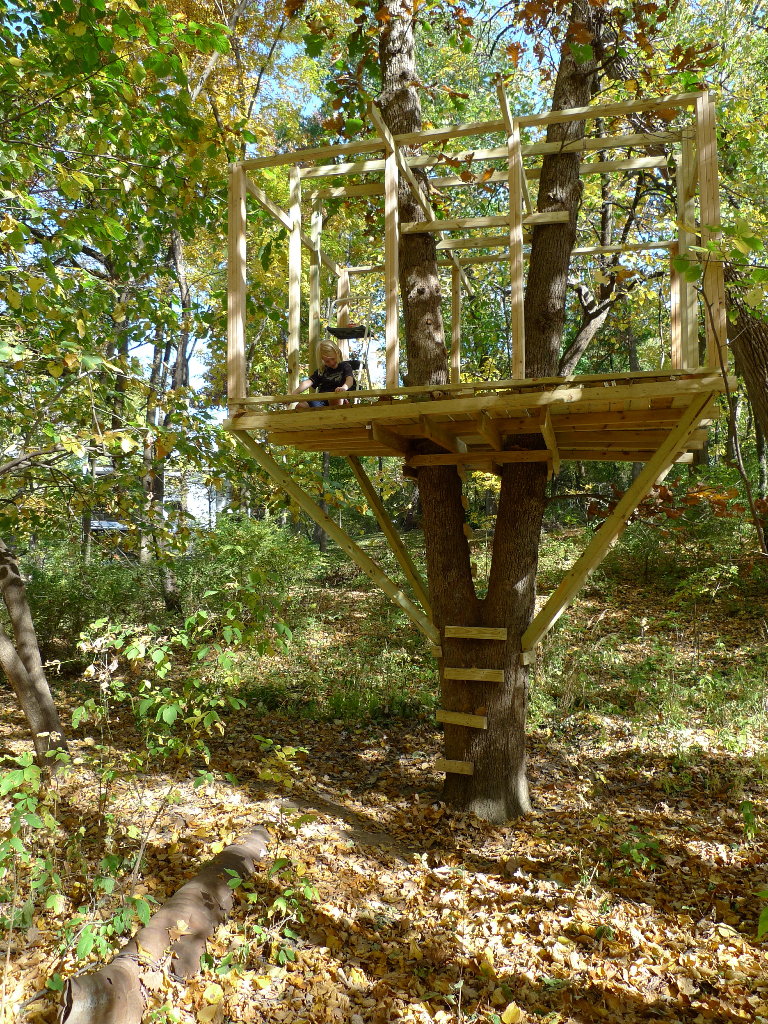 the allen family bermuda triangle: treehouse v. 2.0