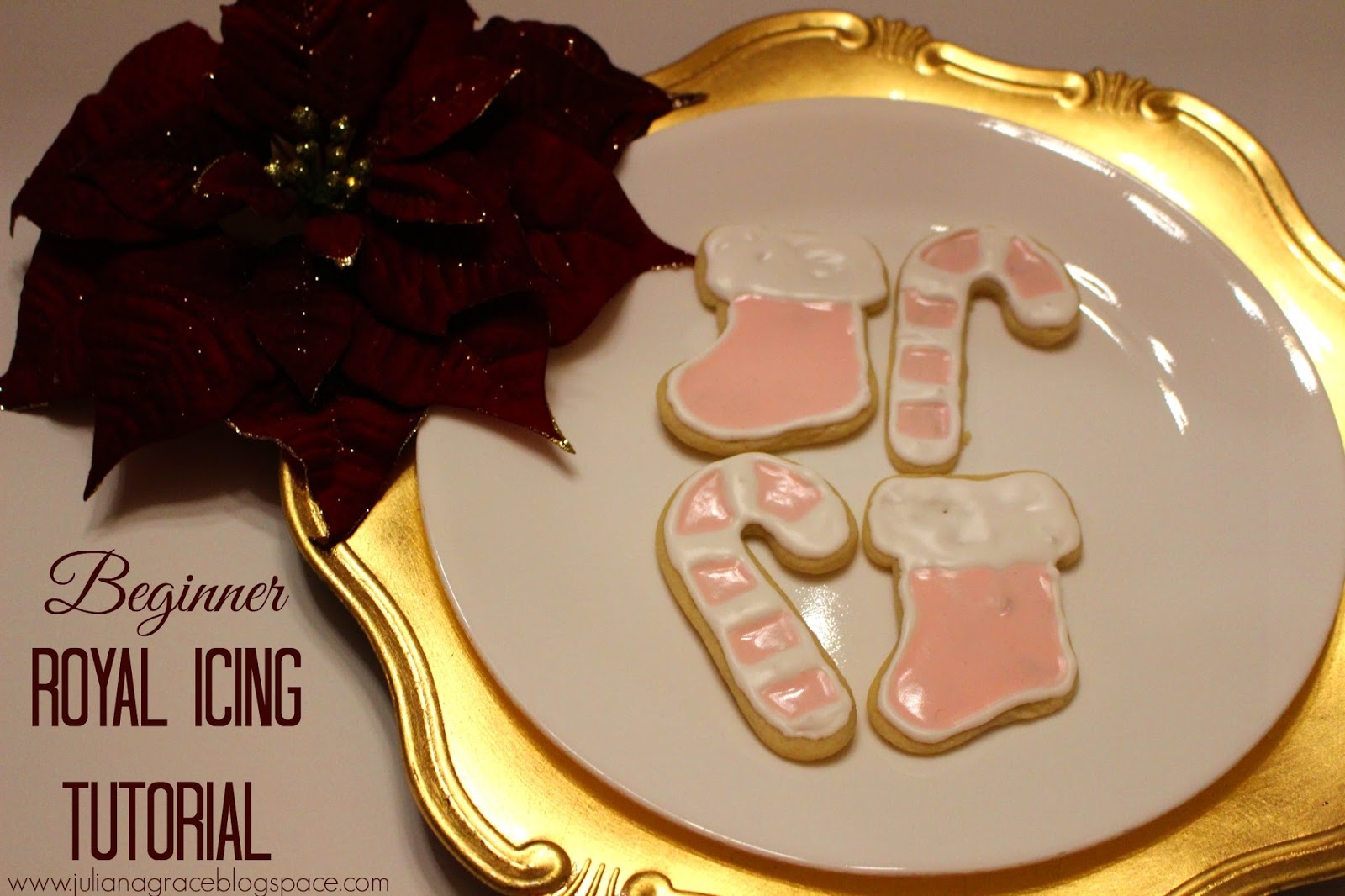 Juliana Grace Blog Space Royal Icing Tutorial 101 juliana-grace-blog-space-royal-icing-tutorial-101