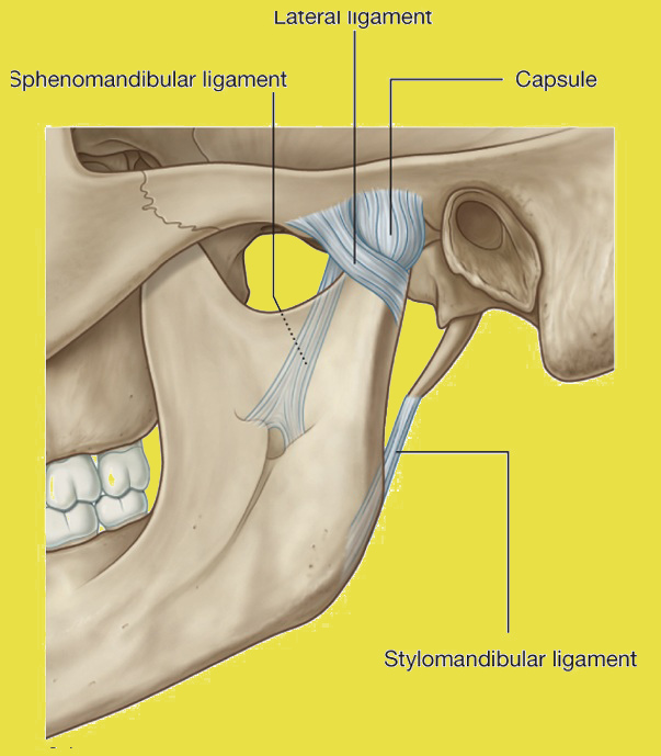 De la Oclusión a la ATM: Biomecánica de la ASTMD