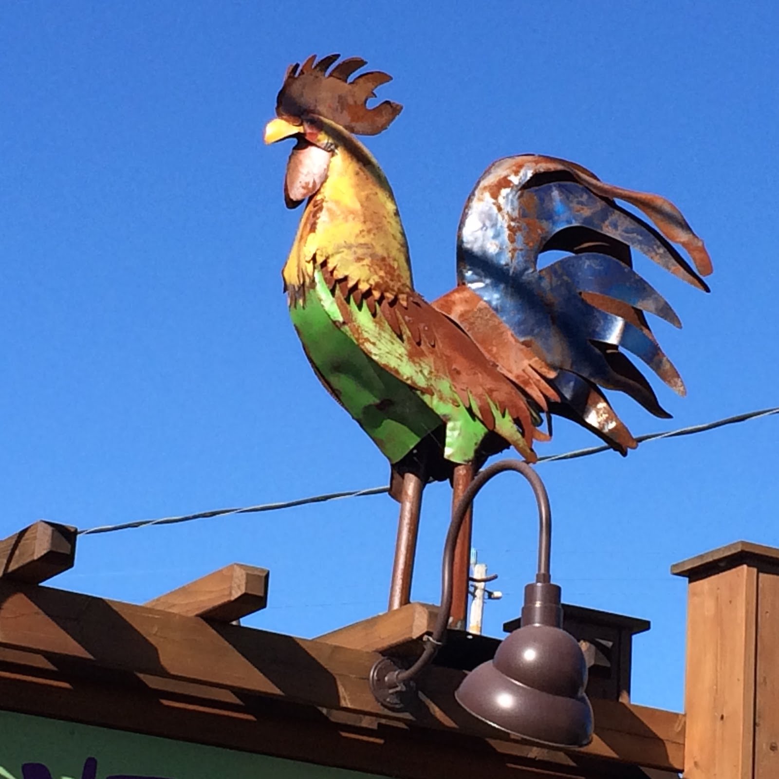 BE-ing Rooted: a Practice in Essential Living: Year of the Purple Fire ...