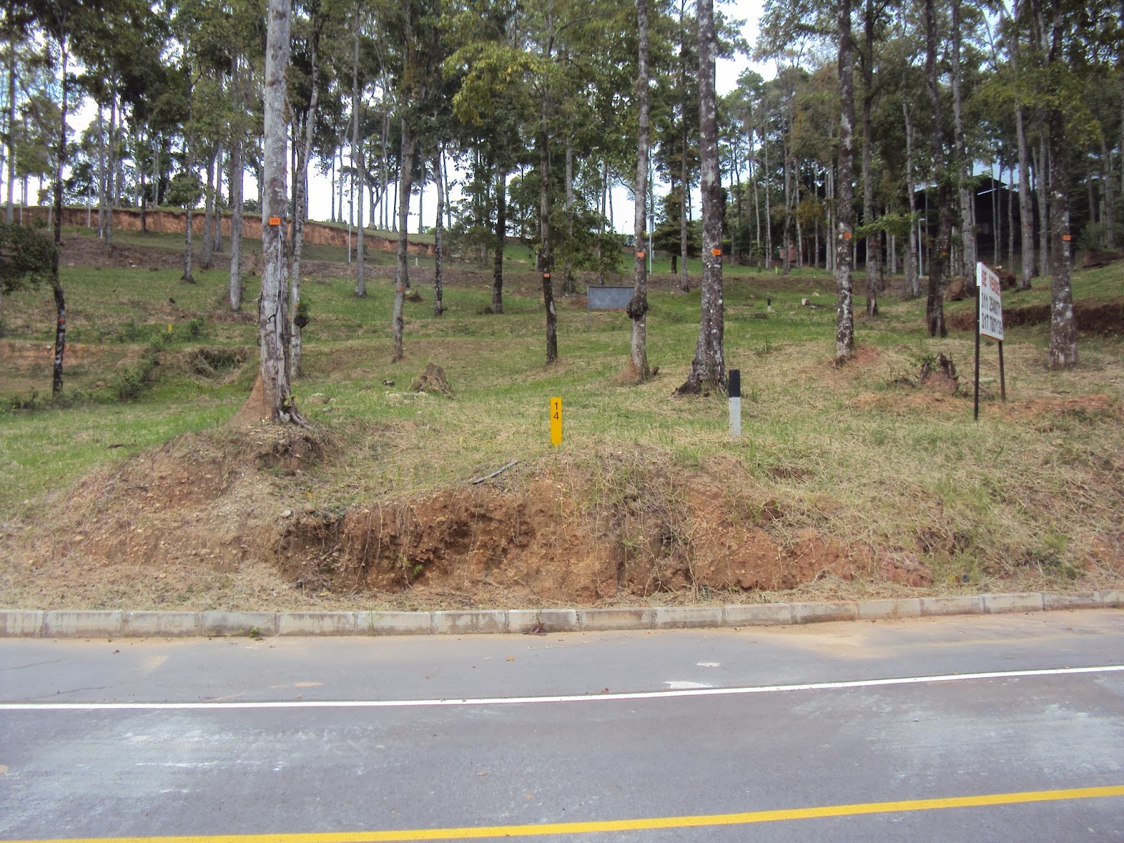 Finca Raiz Familia Feliz: Parcelas en Venta