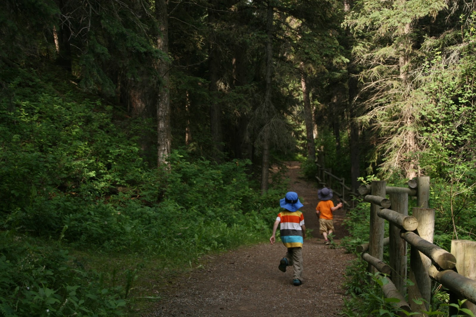 Family Adventures in the Canadian Rockies: Calgary's Best Walks and ...