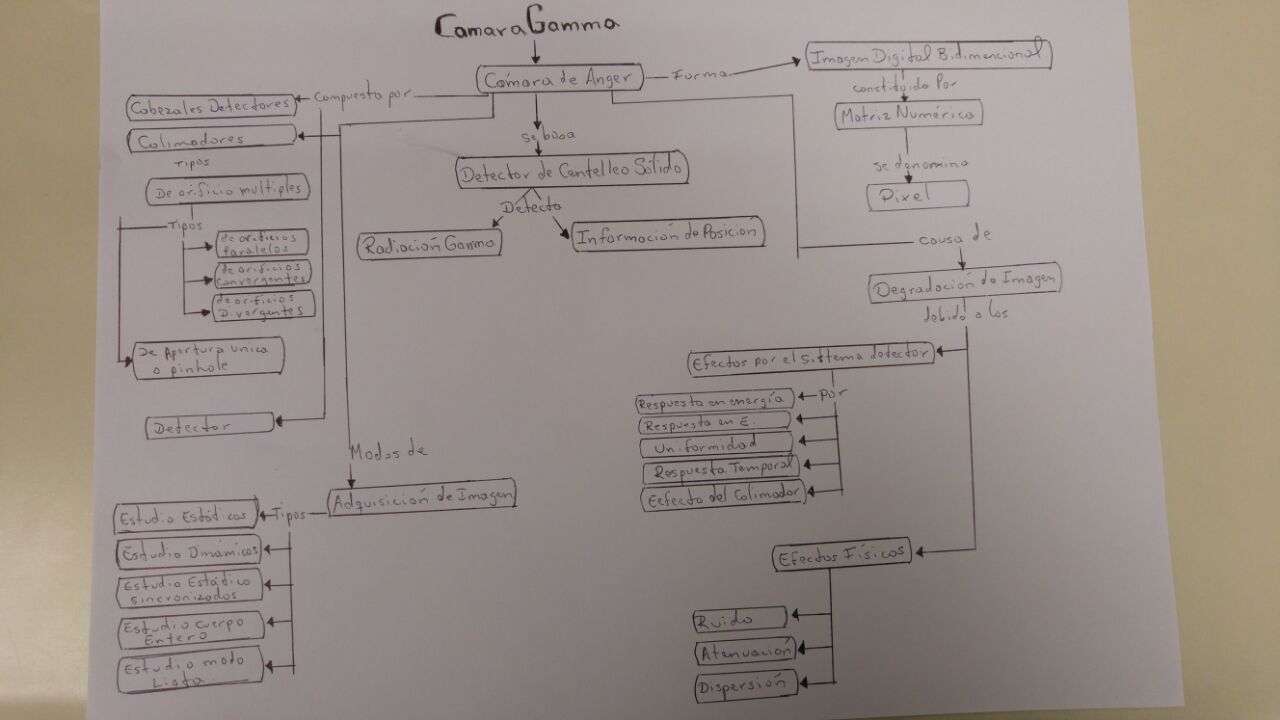 INSTRUMENTACION Y EQUIPOS EN MEDICINA NUCLEAR Y RADIOTERAPIA: GAMMACAMARA