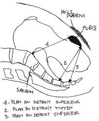 Maternellement Votre: Tout savoir sur l'accouchement par Dr Zahou