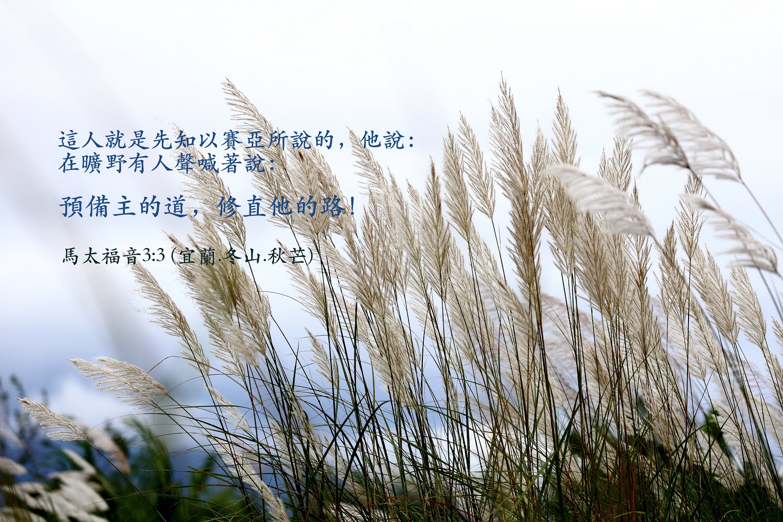 daily devotion memorandum & photographing (聖經經文卡&攝影作品): 預備主的道，修直他的路