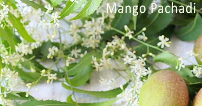 Raw Mango Sweet Pachadi ~ Lincy's Cook Art