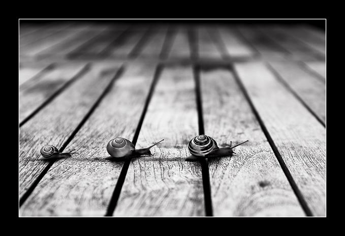 Journal: Lines photography