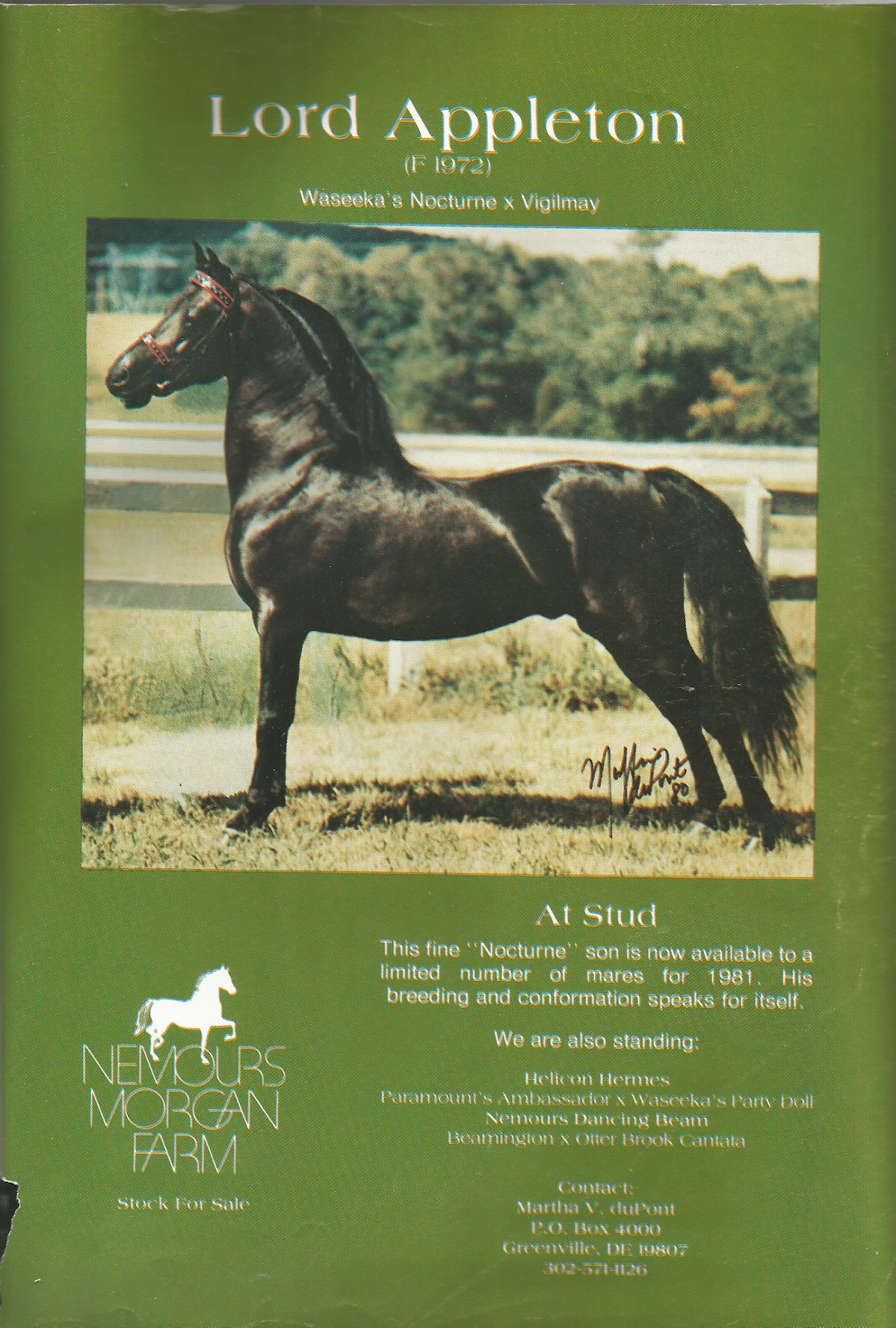 Old Morgans: Lord Appleton 2/81 TMH