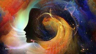 OS 5 ESTÁGIOS DA CONSCIÊNCIA