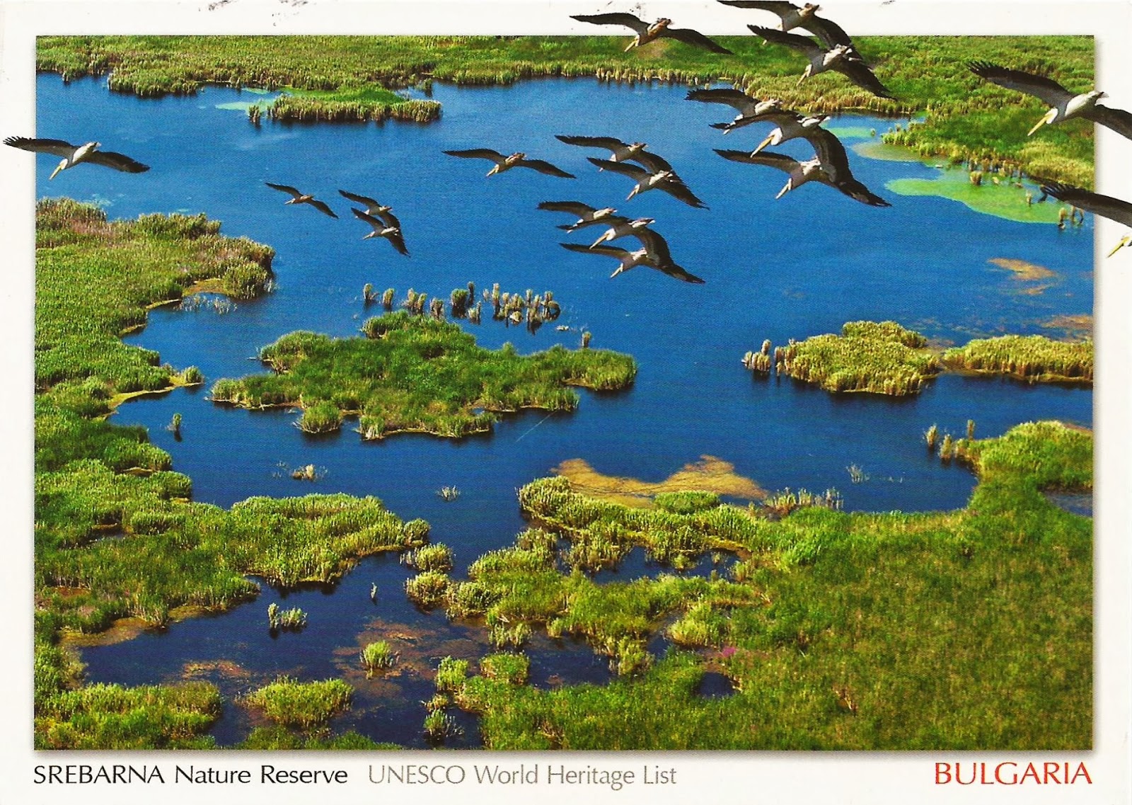 Postcards on My Wall: Srebarna Nature Reserve, Bulgaria (UNESCO)