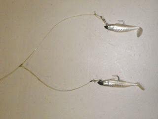 SECRET BARRAMUNDI by Hiro Nakamura: Barramundi 395 HIRO'S DOUBLE BAITS ...