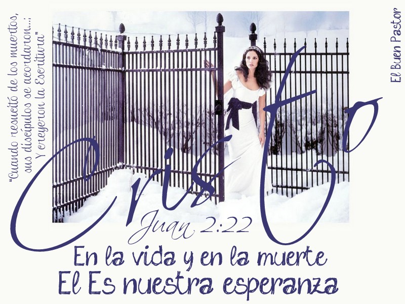 YO SOY EL BUEN PASTOR: Juan 2:22