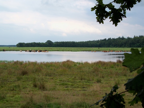 De tante van Tjorven: De beeldentuin in Gees