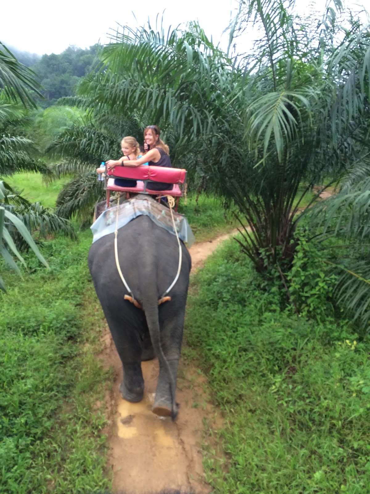 Olifant rijden | Fardau Mulder