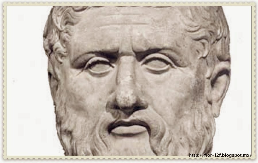 Leo luego escribo: Teeteto 161b-172b