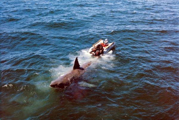 21 Amazing Behind the Scenes Photos From the Making of 'Jaws' (1975 ...