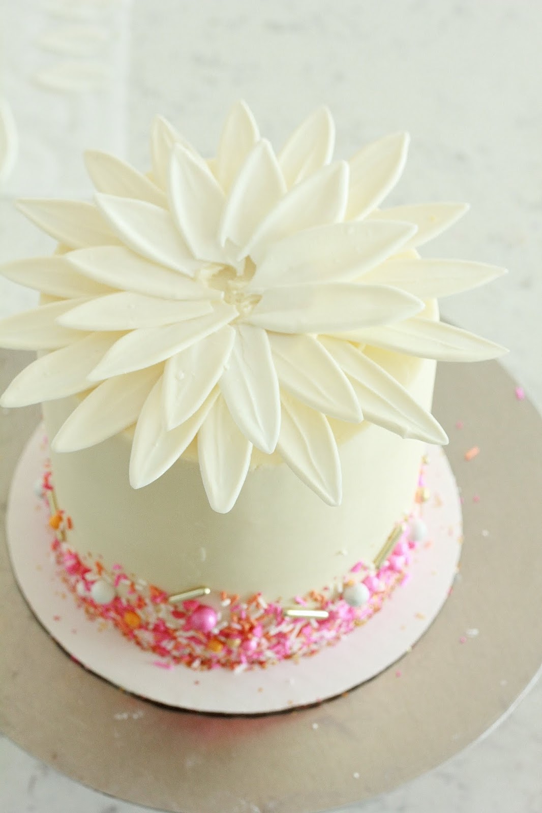 Chocolate Daisy Cake