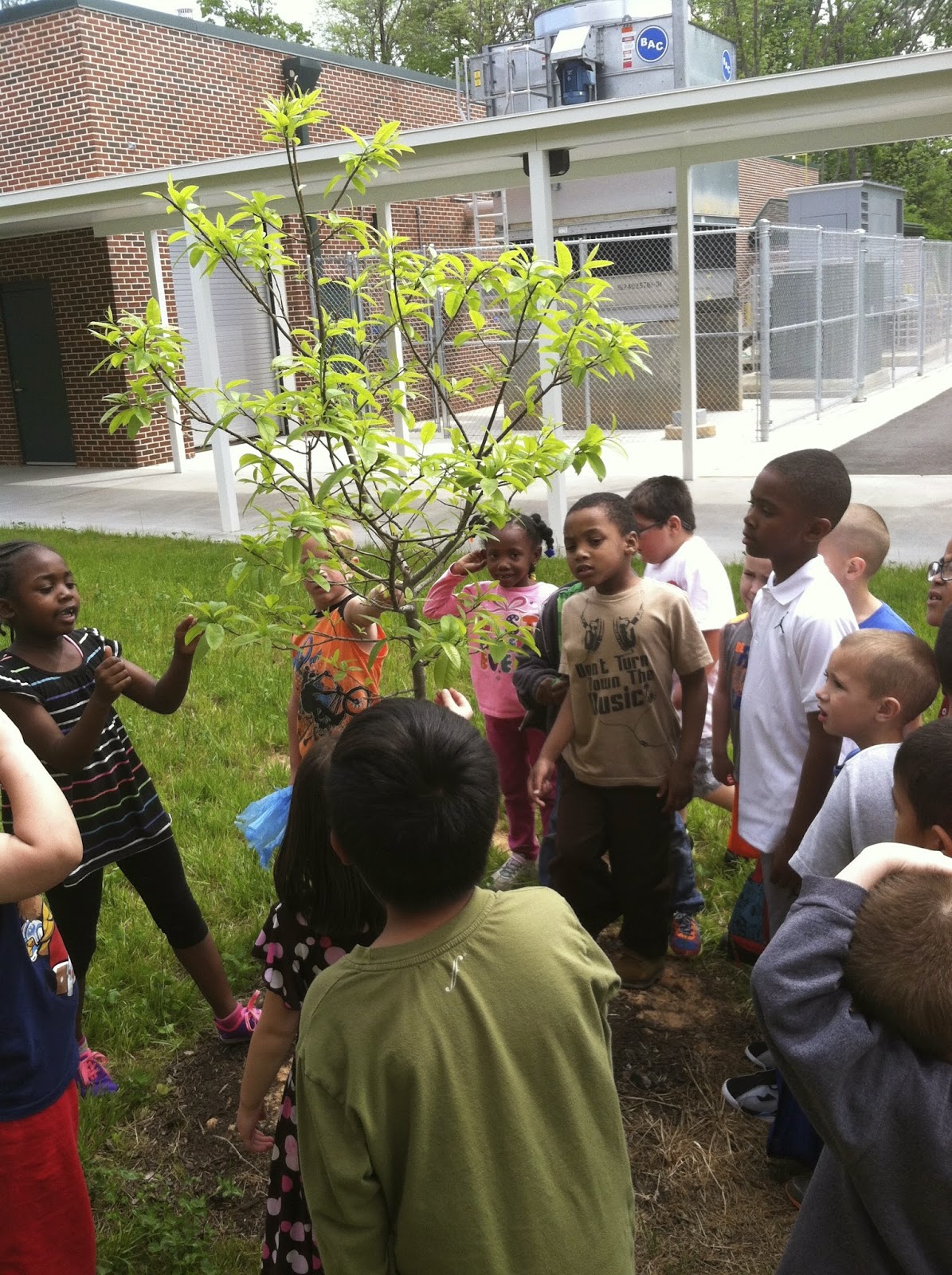 Smith Farm Kindergarten Global Bloggers
