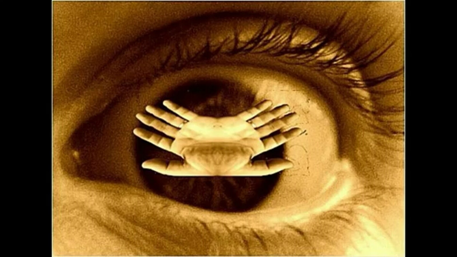 NEW AND IMPROVED AMP SETTINGS: PANTERA AMP SETTINGS