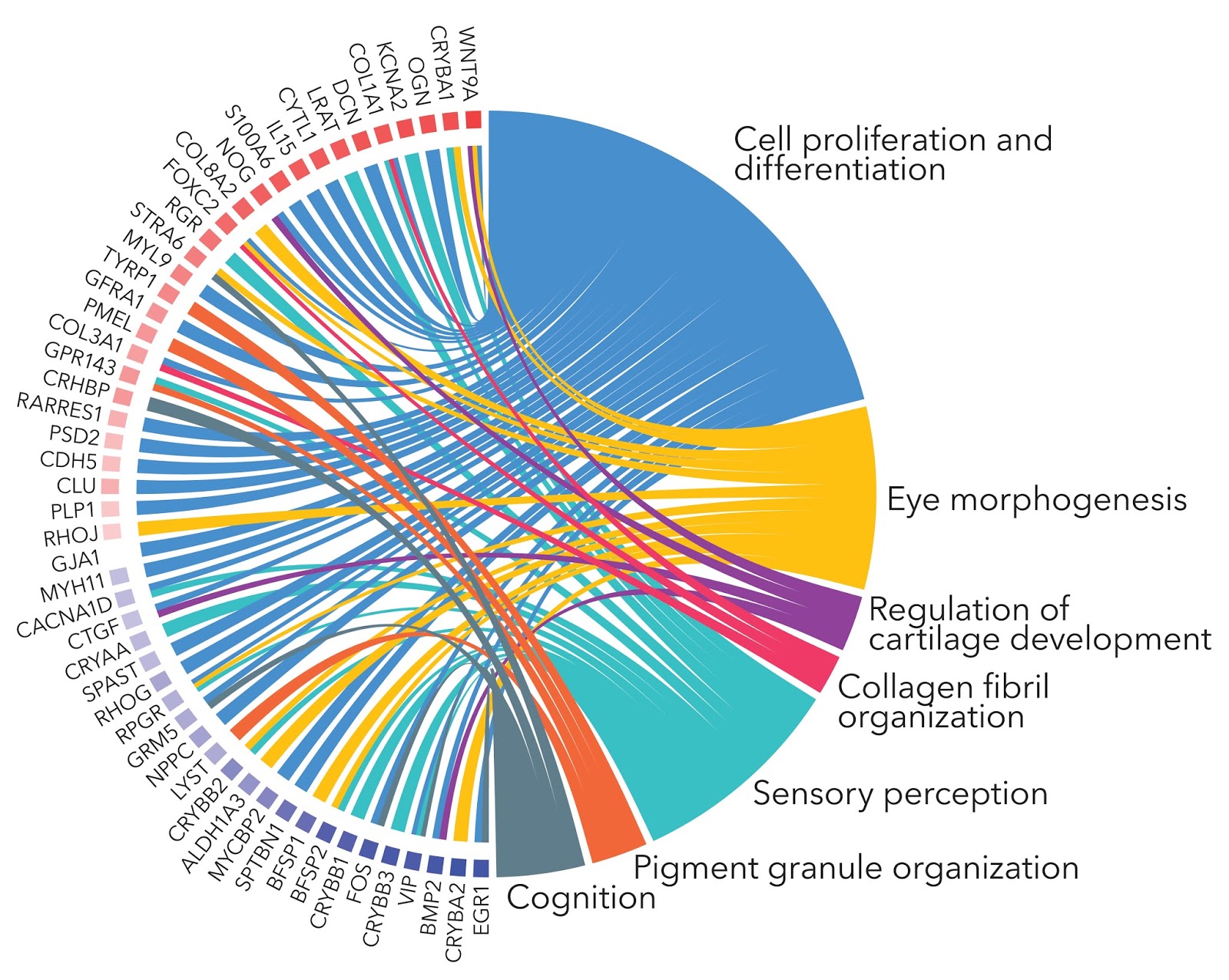 Nina Riddell: GOPlot package for visualizing functional omics data Nina Riddell: GOPlot package for visualizing functional omics data