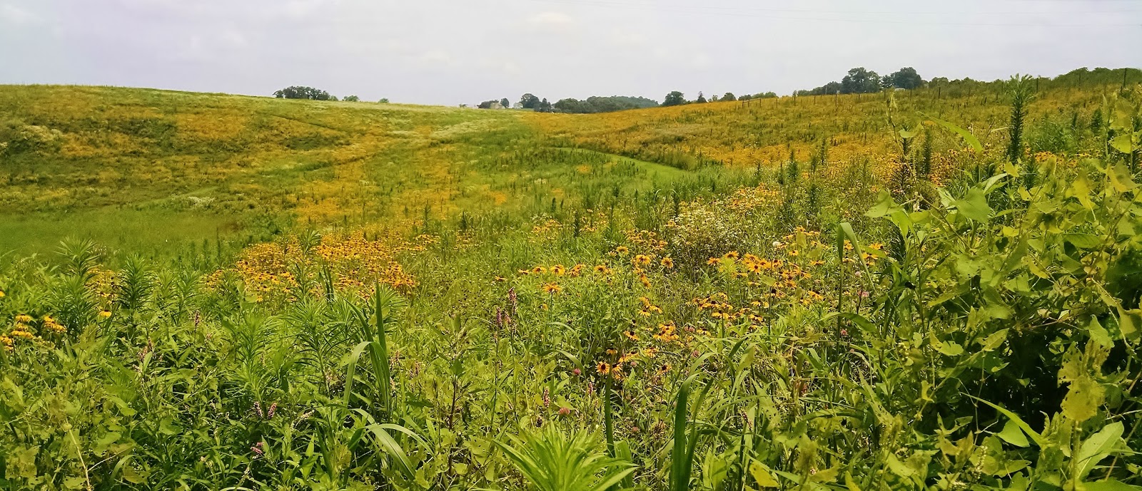 Natural Mid-Atlantic : PA: Chestnut Grove Natural Area, Lancaster Co ...