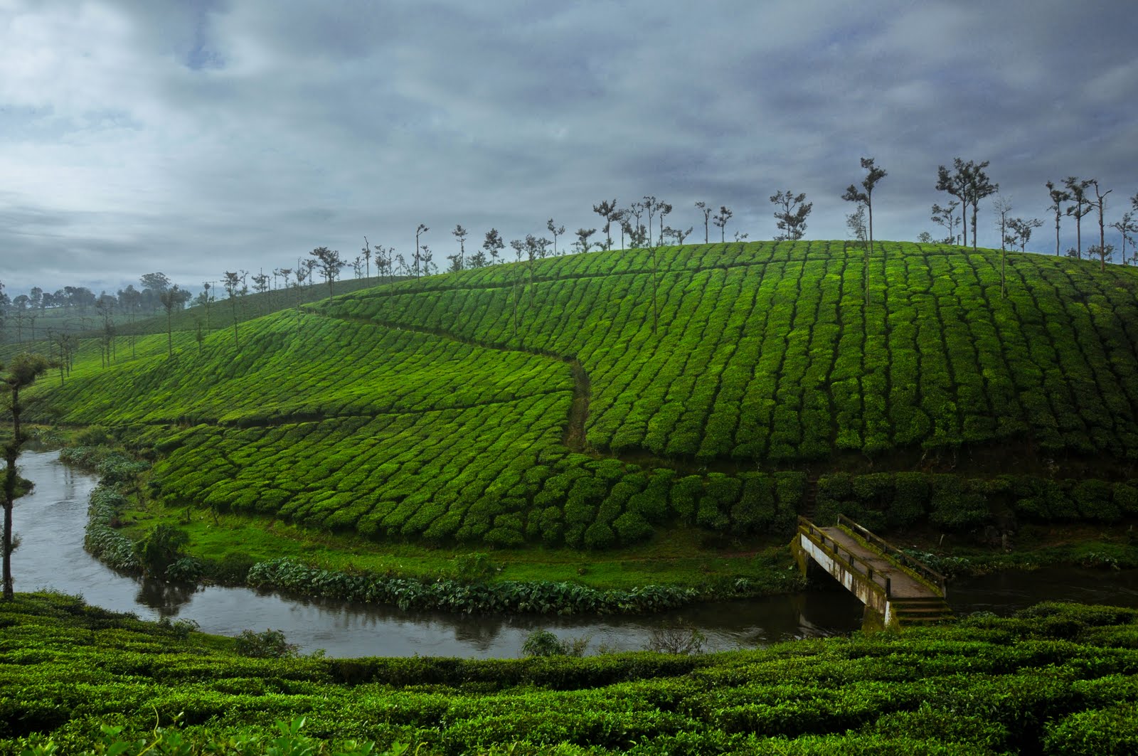 Punya Bhoomy: VALPARA