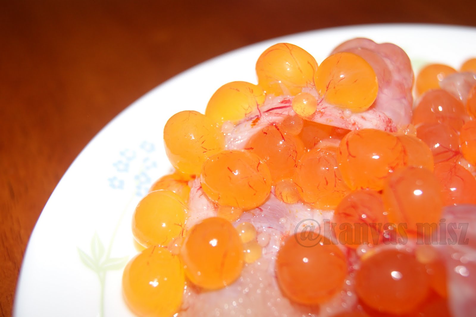 Kanvas Misz: Telur Ikan Mayong