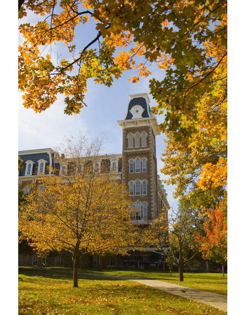 Adventures with Ange