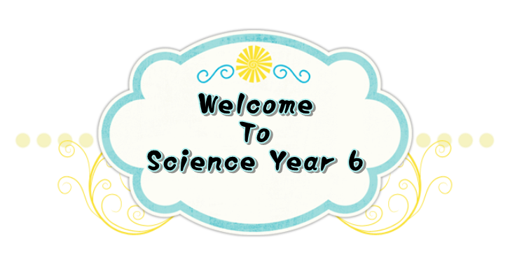 Welcome To Science Year 6: Lesson 2: Animals Interaction