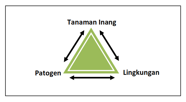 Kuliah 06 Perlintan; Proses Patogenitas - Petani Pekebun