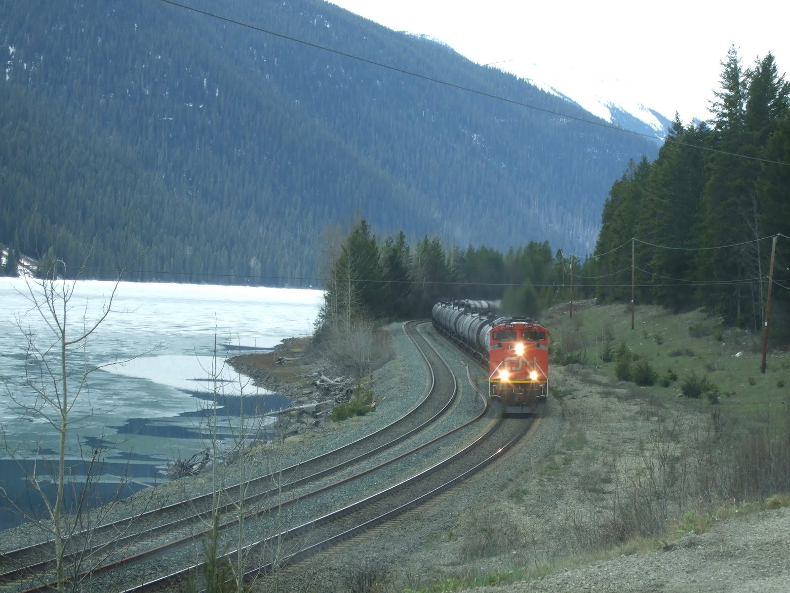 Dispatches from Camp Ketchikan: Day 4 Thursday, 12 May 2011
