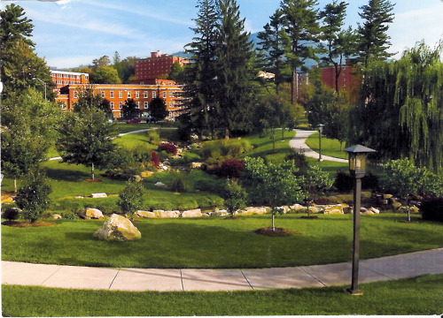 With a Side of Chocolate: Boonetown.