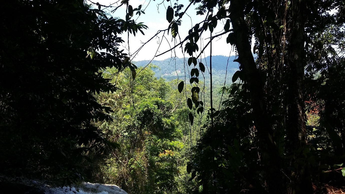 Mohd Faiz bin Abdul Manan: Air Terjun Sungai Gabai