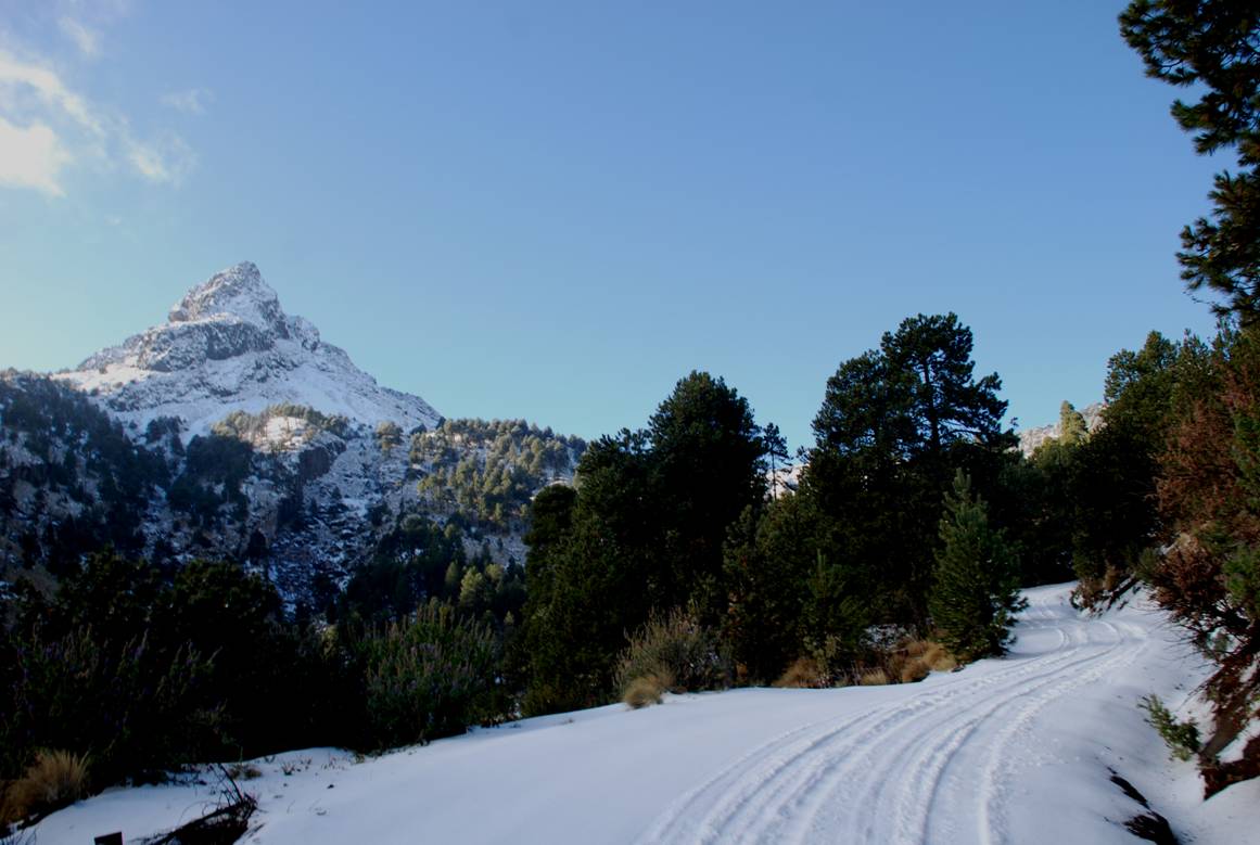 Volcán Nevado de Colima | Volcanes del Mundo